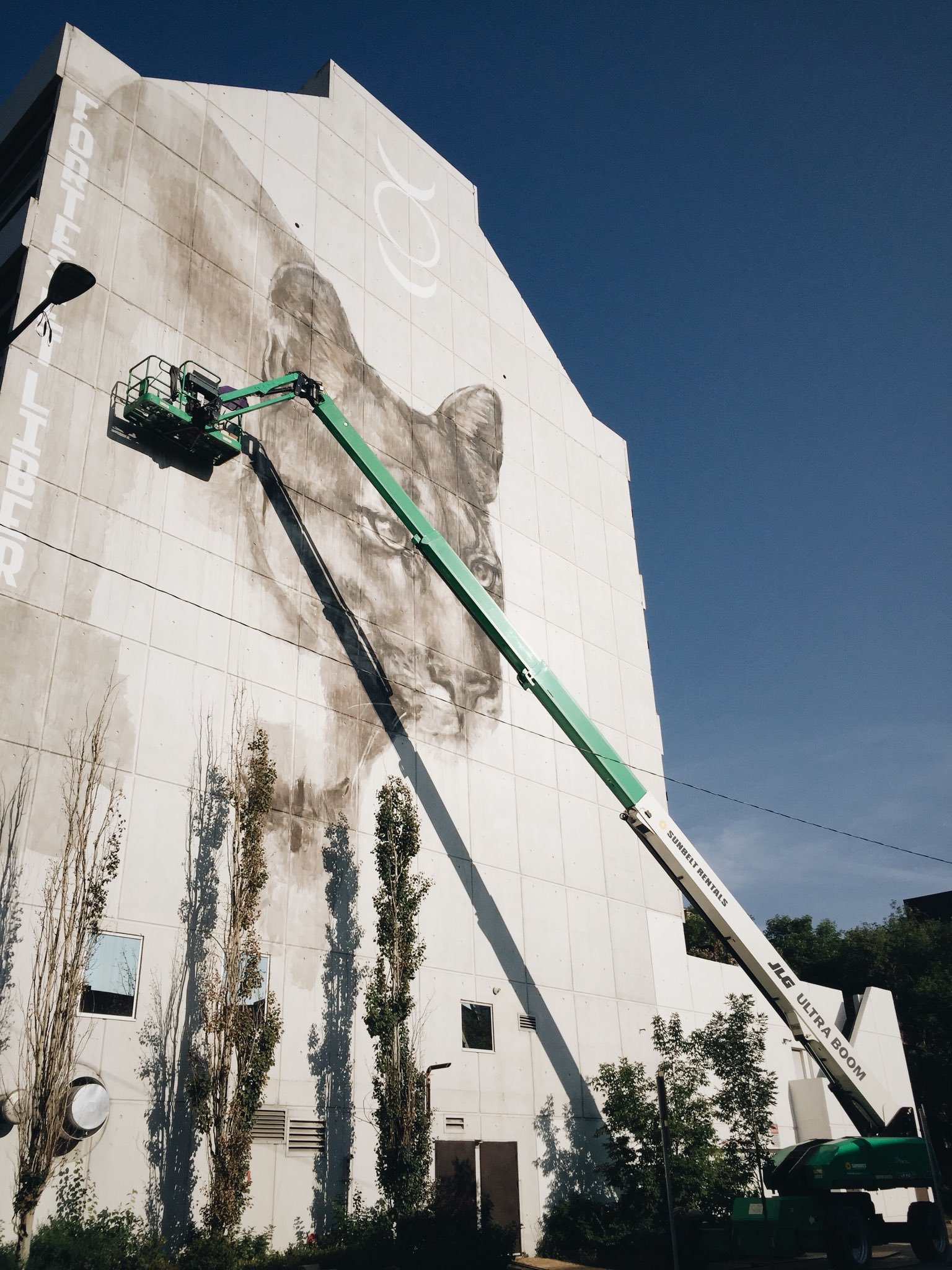 Beltline Urban Mural Project adding colour to Calgary communities ...