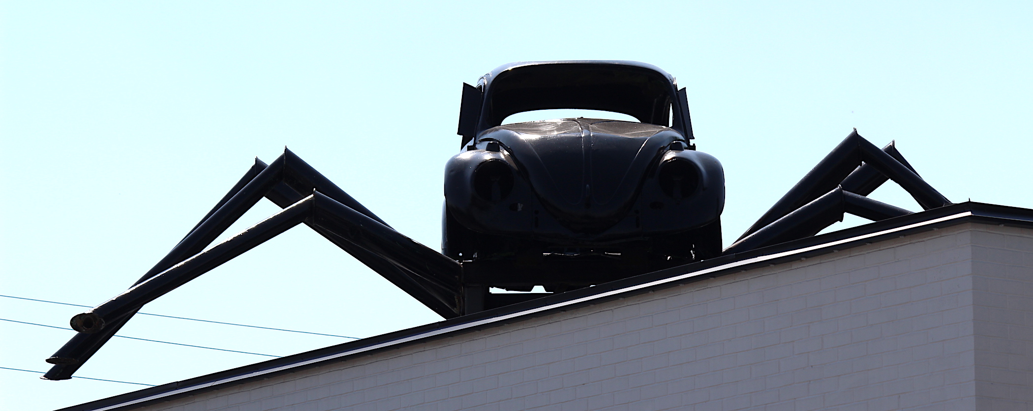 Calgary's iconic Spider Beetle has new home in Bankview - LiveWire Calgary