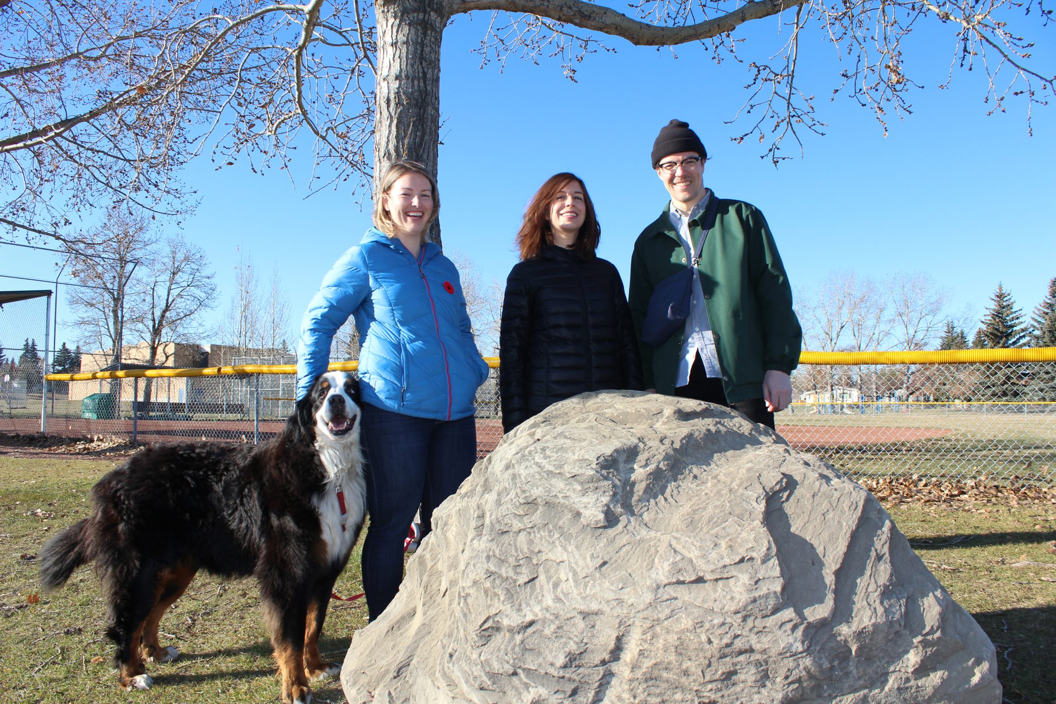 Calgary community vision plans one part of larger established area ...
