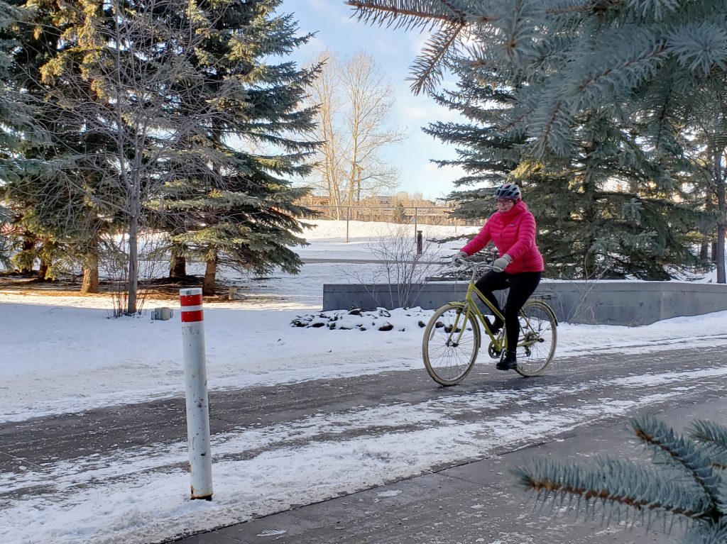 Ward 9 'Dream Network' illustrates past, present, future of area ...