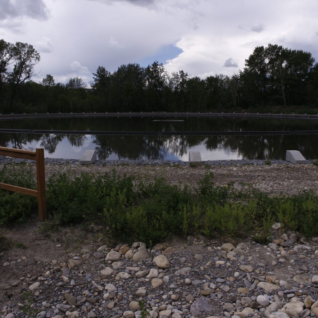 Dale Hodges Park is open for Calgary to enjoy - LiveWire Calgary