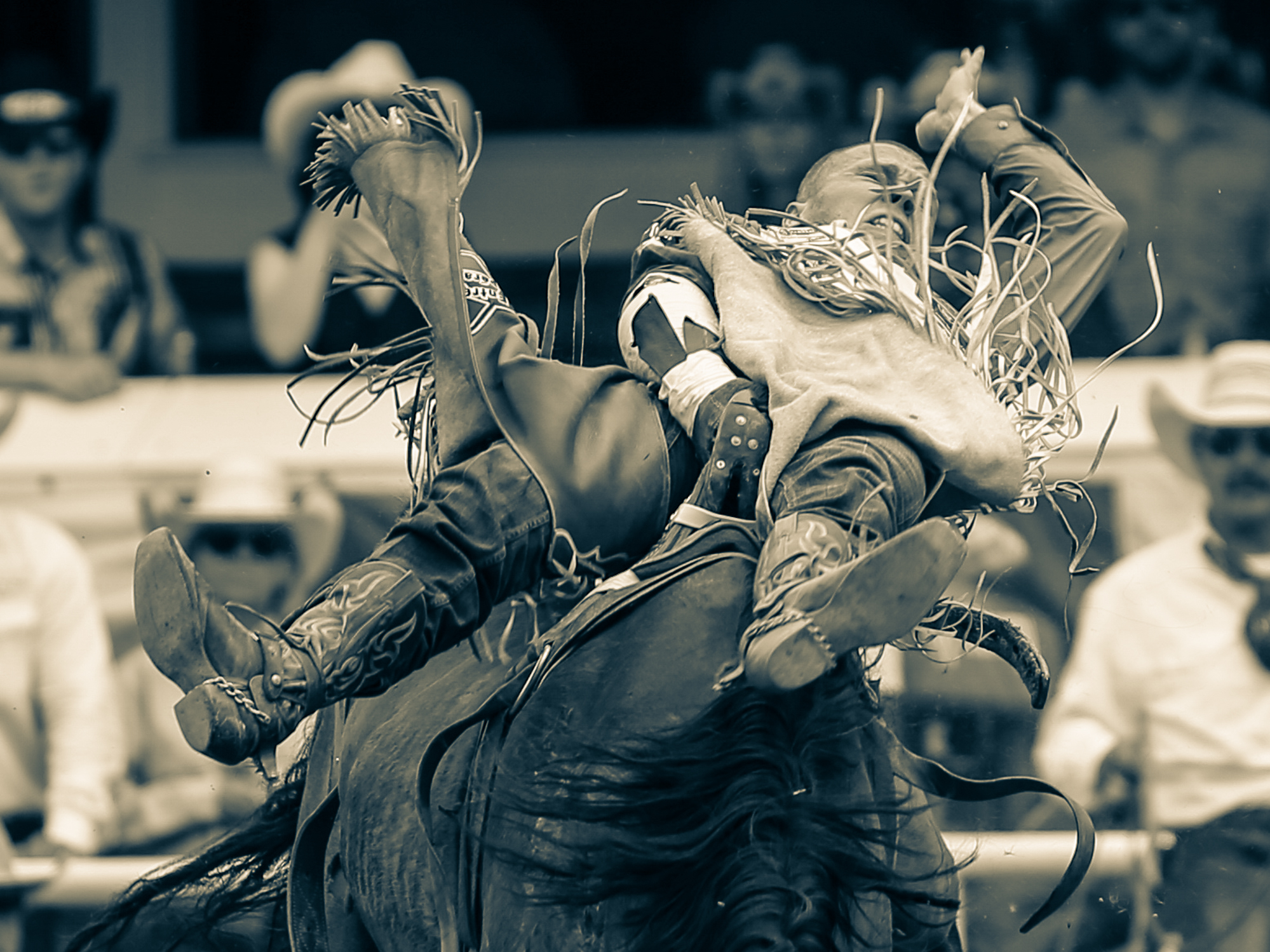 Calgary Stampede 2019 rodeo - Day 9 - LiveWire Calgary