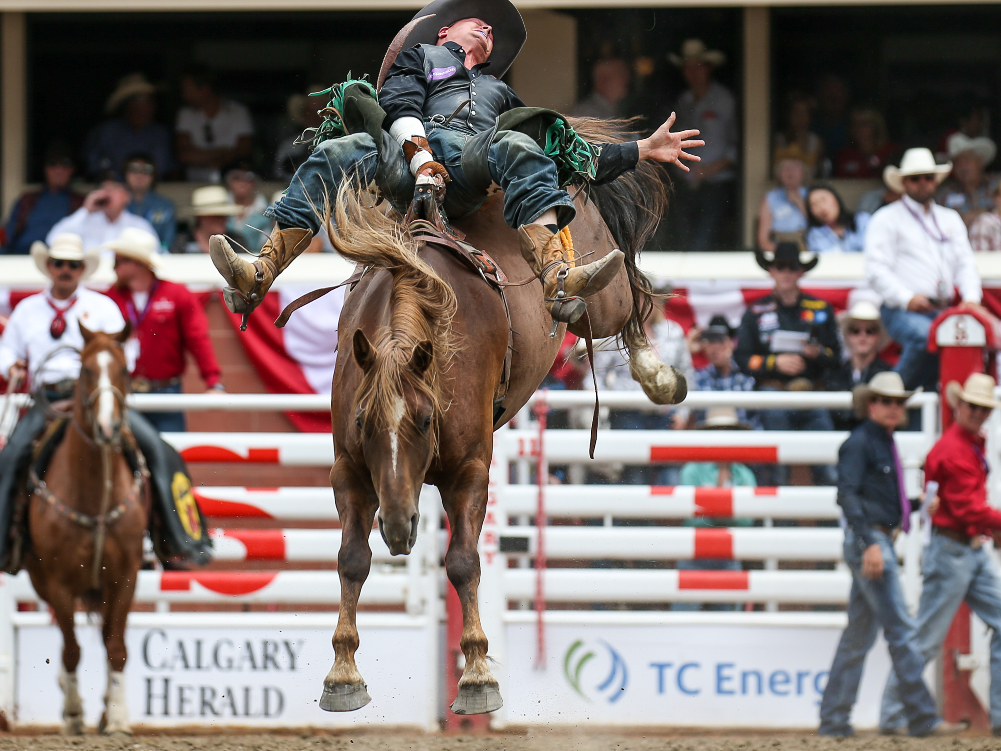 Calgary Stampede 2019 rodeo - Day 9 - LiveWire Calgary