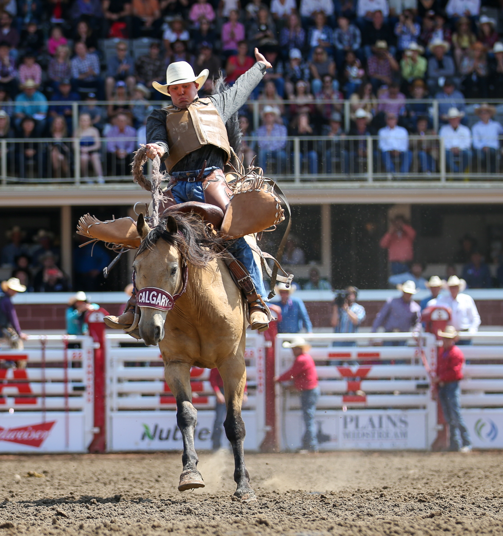 Photos: Day 3 of the Calgary Stampede rodeo - LiveWire Calgary
