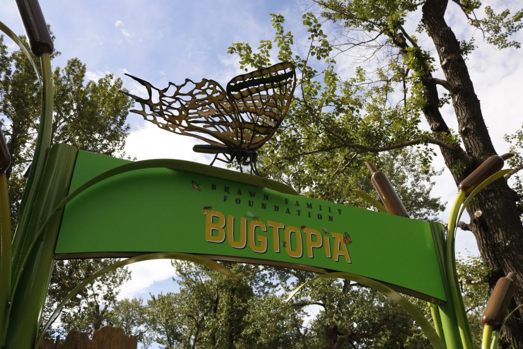 Calgary Zoo opens new Bugtopia exhibit - LiveWire Calgary