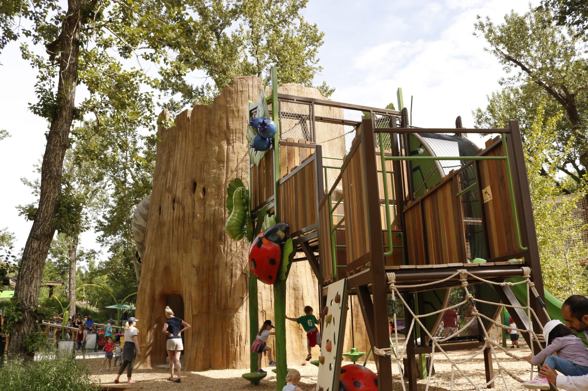 Calgary Zoo opens new Bugtopia exhibit - LiveWire Calgary