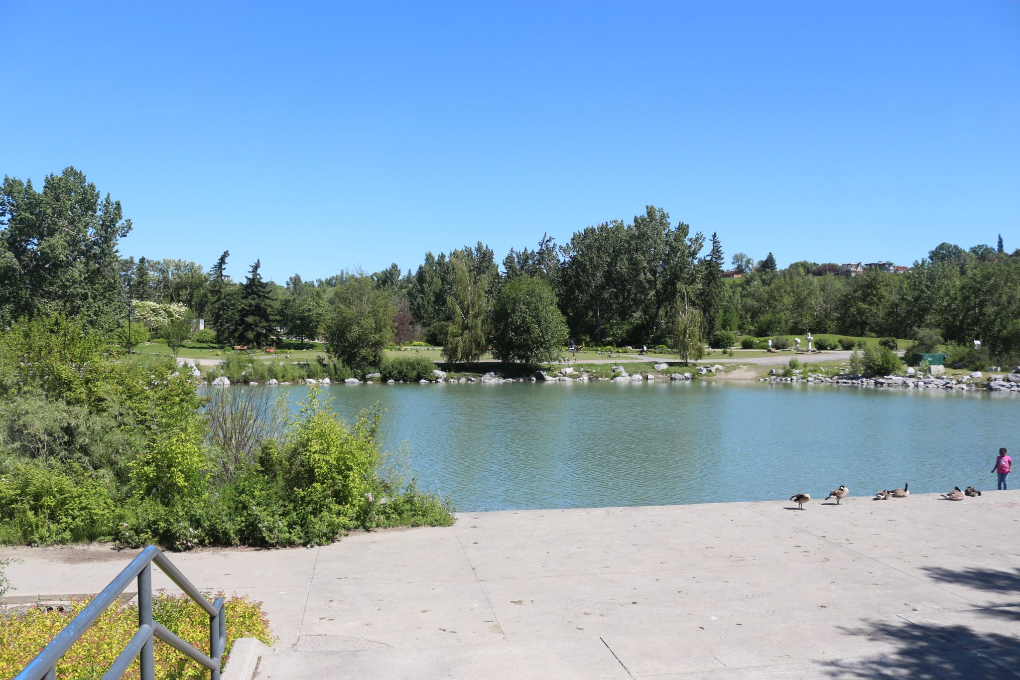 Seven Calgary spots you need to visit this summer - LiveWire Calgary