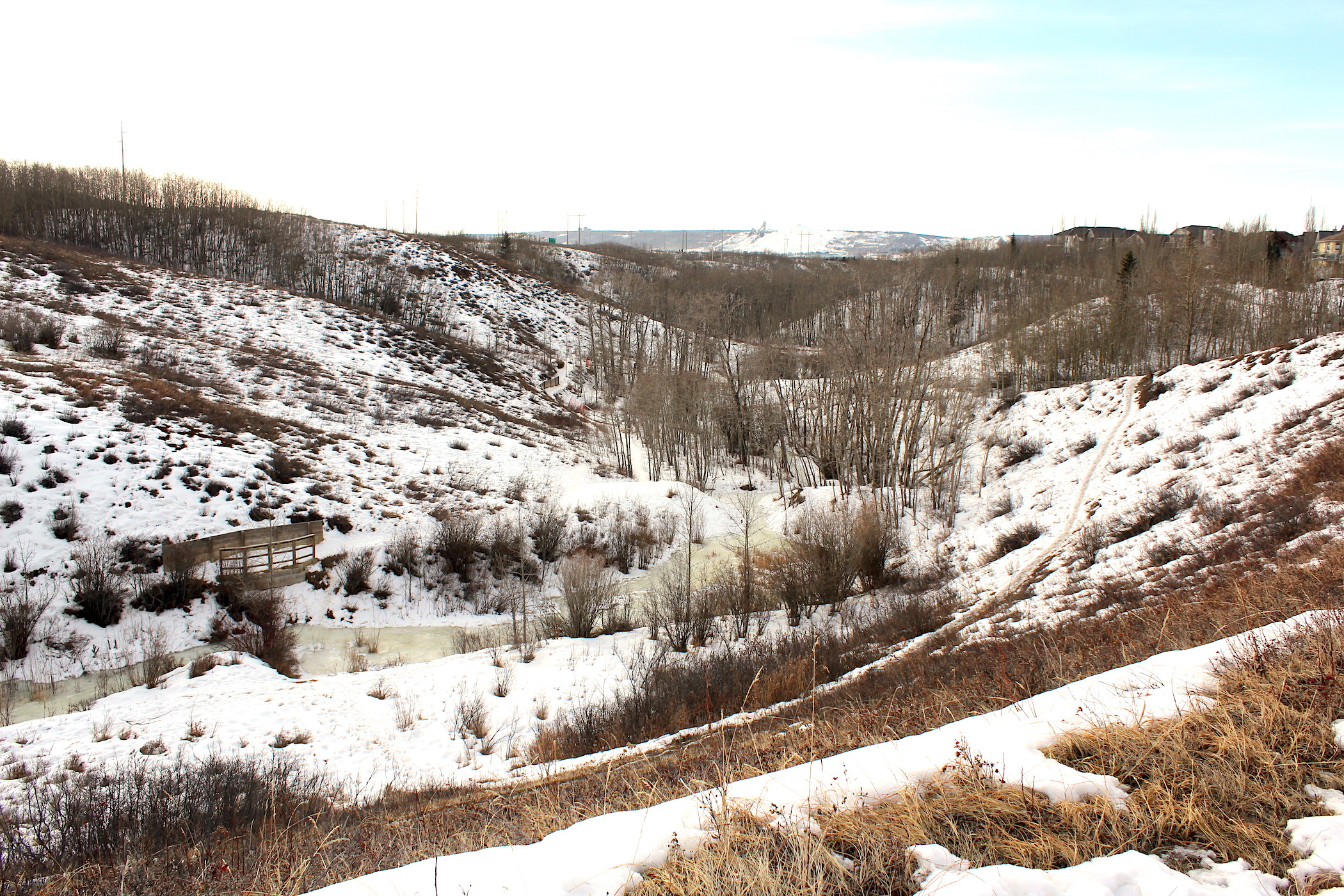 Natural gem: Calgary wants public input on 12 Mile Coulee restoration ...