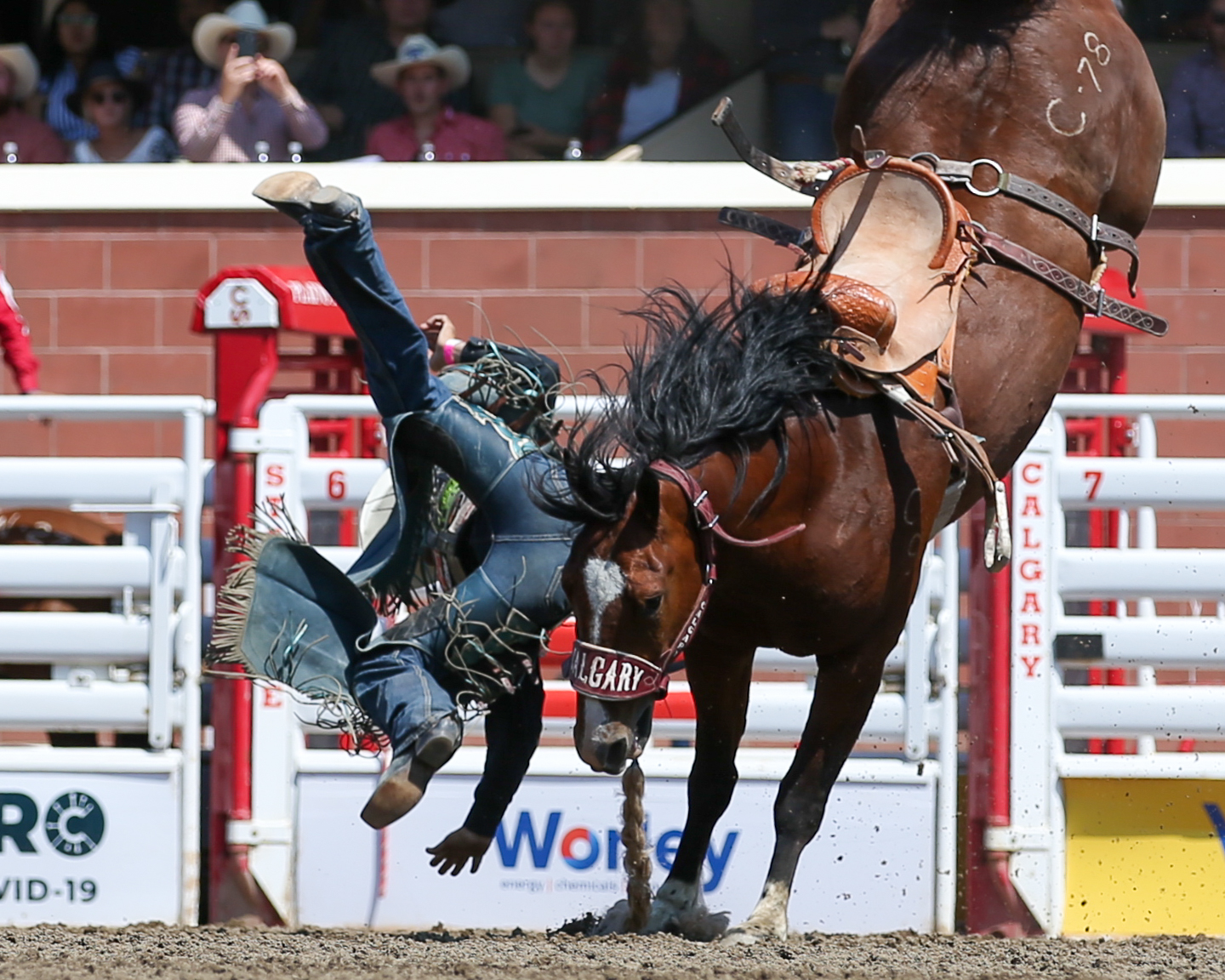 Calgary Stampede rodeo – Day 5 PHOTOS | LiveWire Calgary