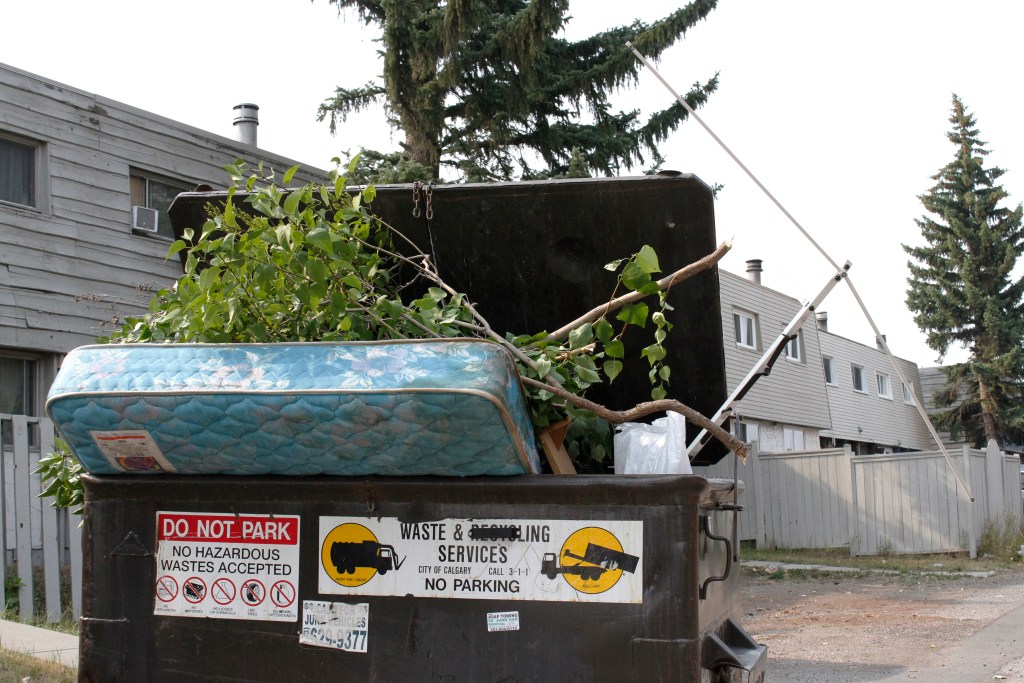 ‘Living in a landfill’: Overflowing garbage causes concern for McCall ...