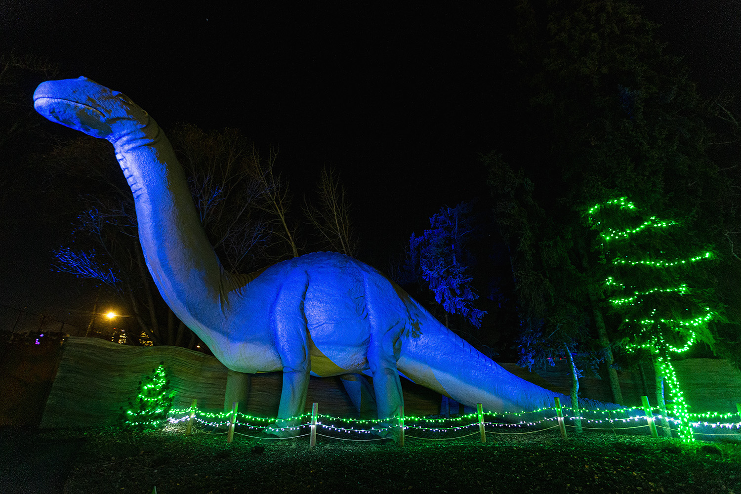 Photos: Calgary Zoo celebrates quarter century of Zoolights - LiveWire ...