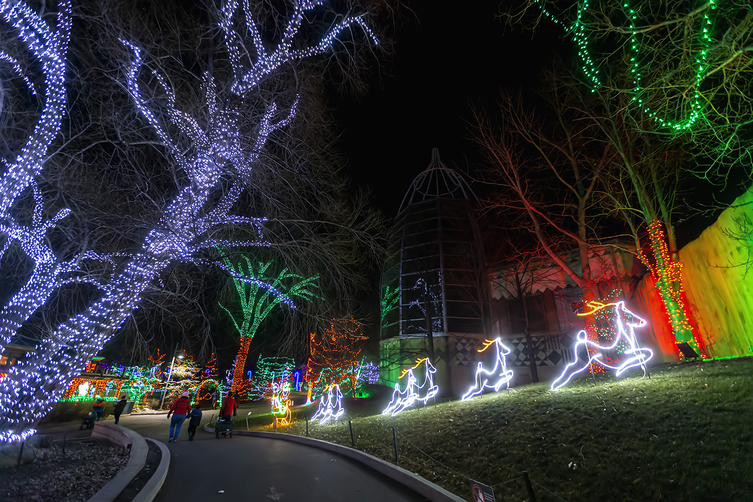 Photos: Calgary Zoo celebrates quarter century of Zoolights - LiveWire ...