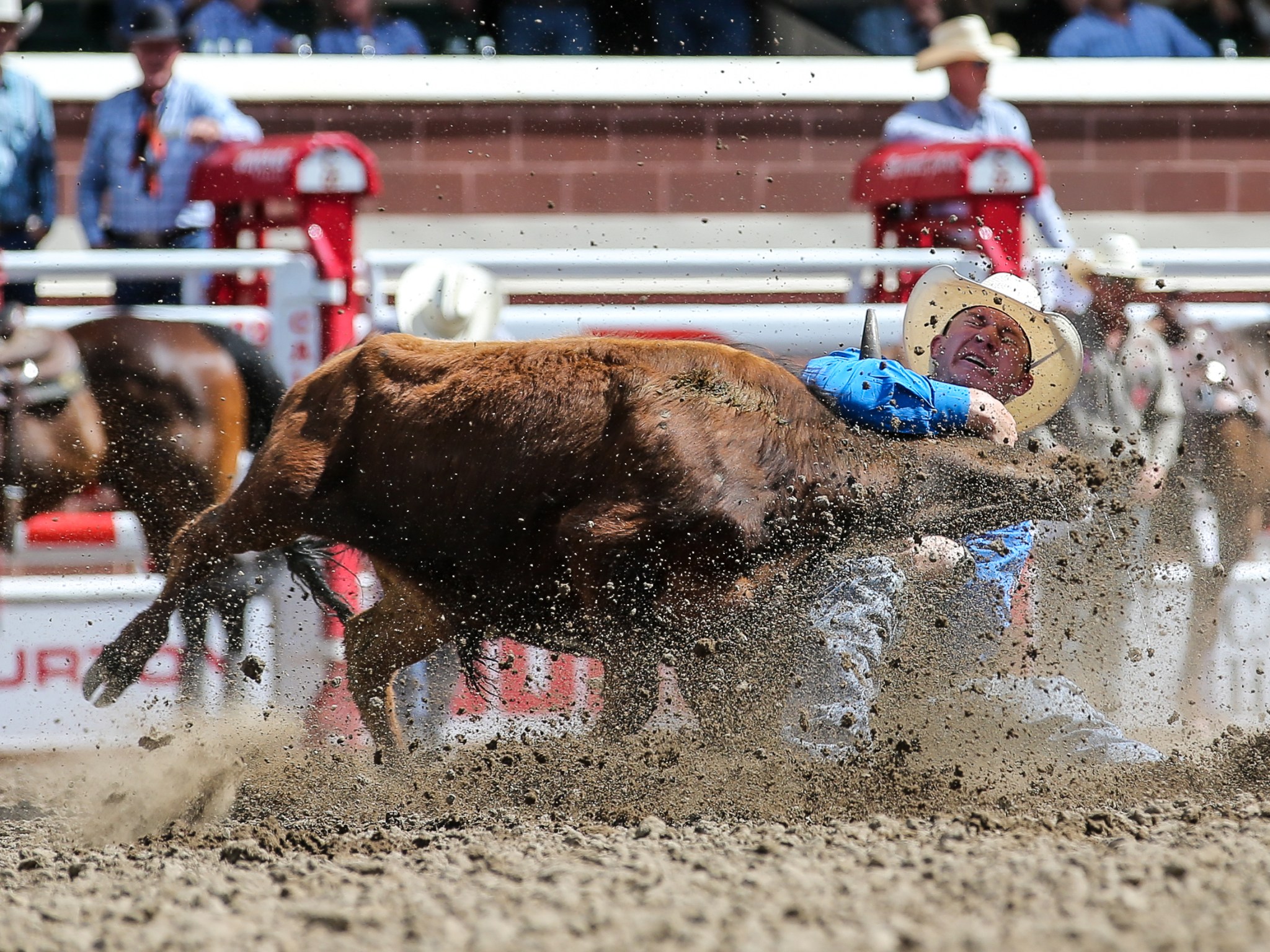 Calgary Stampede Day 1: Rodeo, records and results - LiveWire Calgary