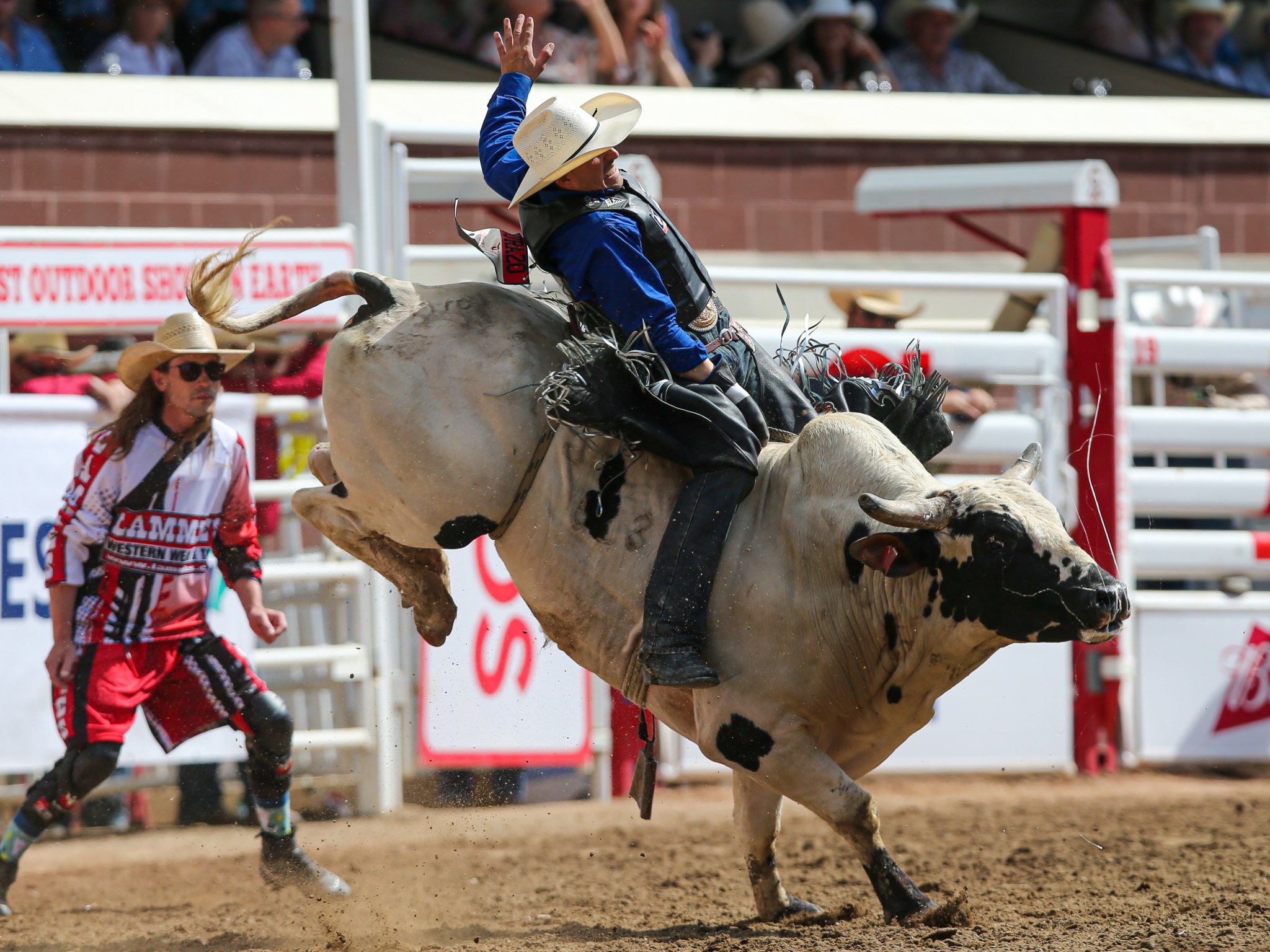 Calgary Stampede Day 3: Weekend recap and look ahead - LiveWire Calgary