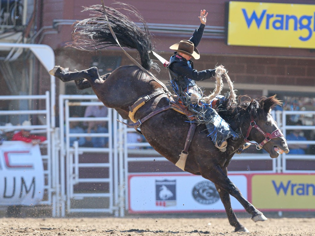 Calgary Stampede Day 4: Recap, rodeo and Community Day - LiveWire Calgary