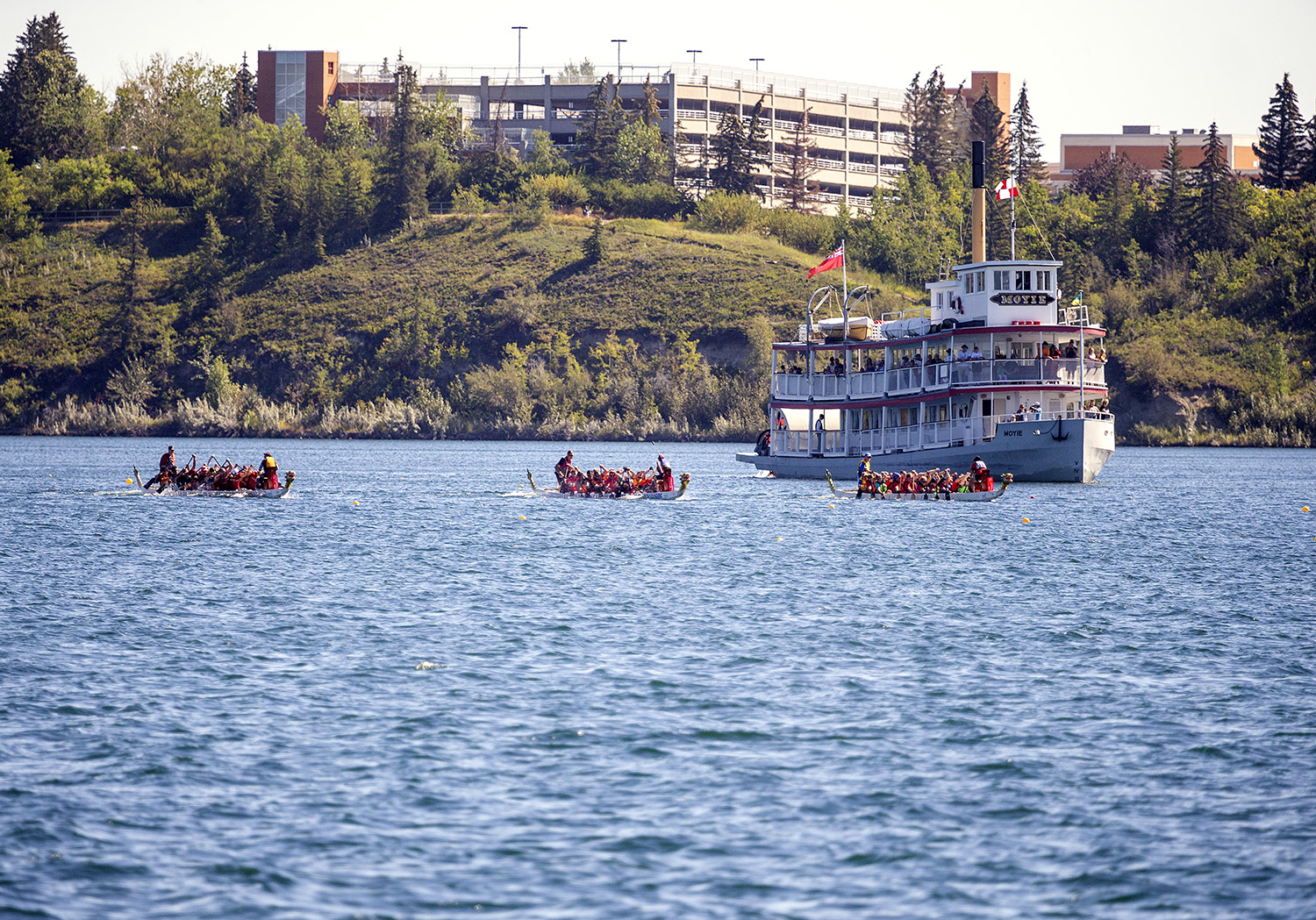 Dragon boat races return after three years to Glenmore Reservoir ...