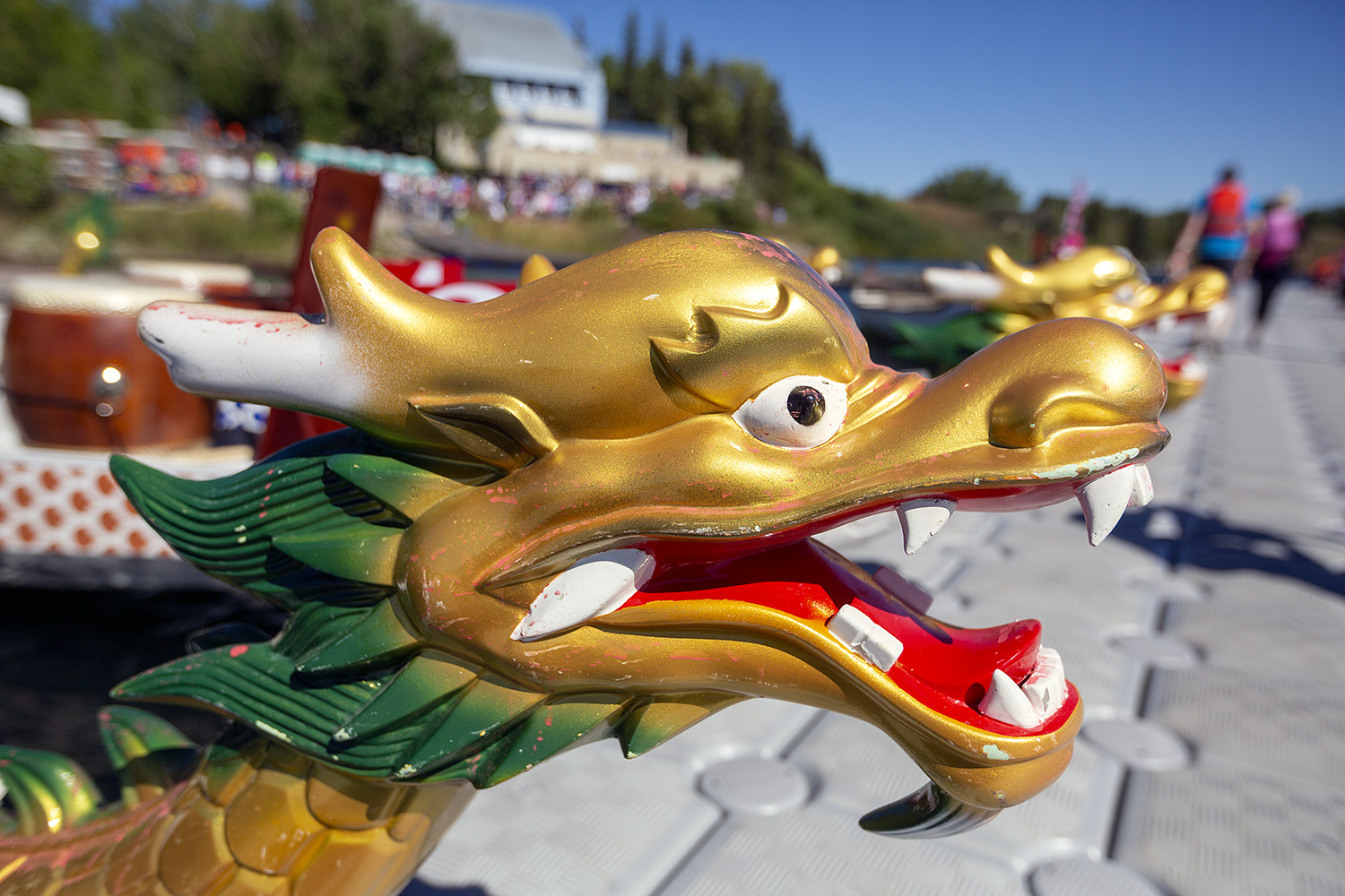 Dragon boat races return after three years to Glenmore Reservoir ...