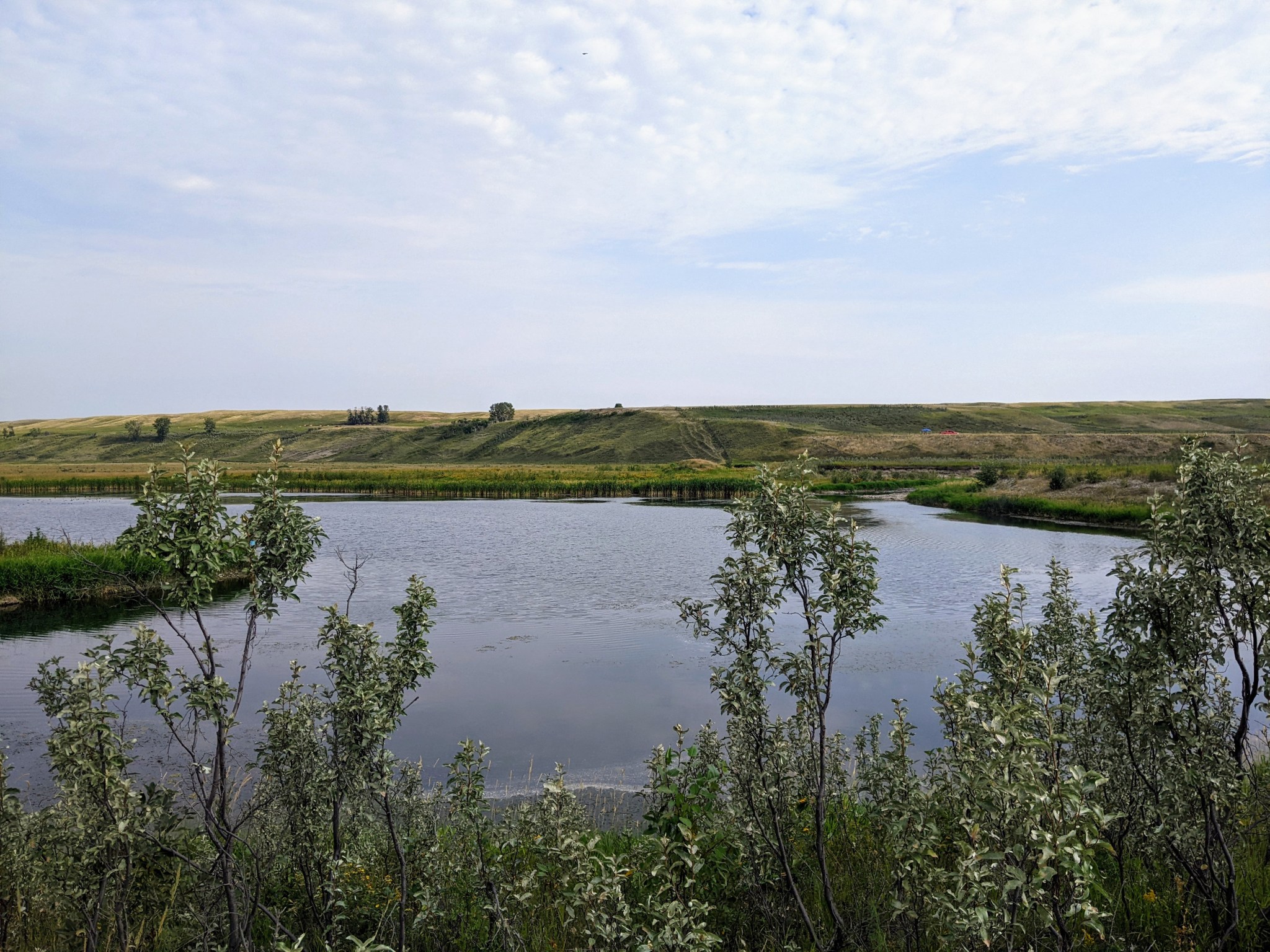 Ricardo Ranch: Questions raised about environmental impact of new ...