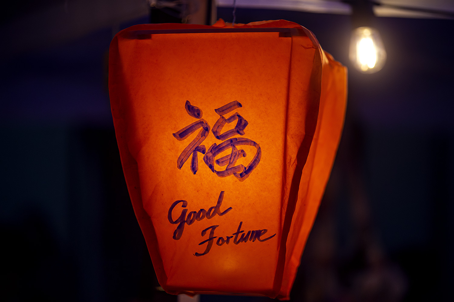 Photos: Chinatown BIA holds first ever Lantern Festival - LiveWire Calgary