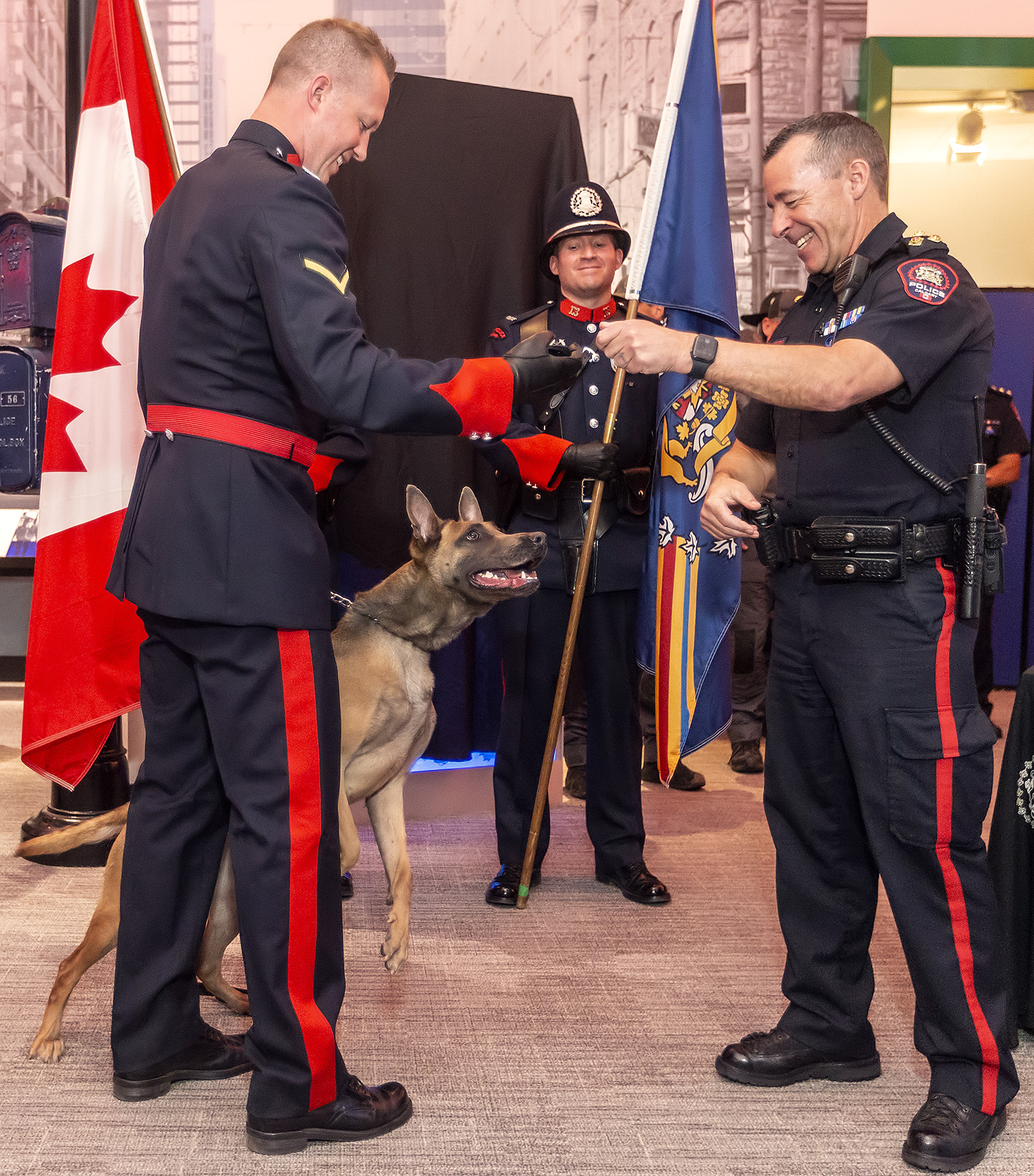 Calgary Police graduate four new new police dogs - LiveWire Calgary