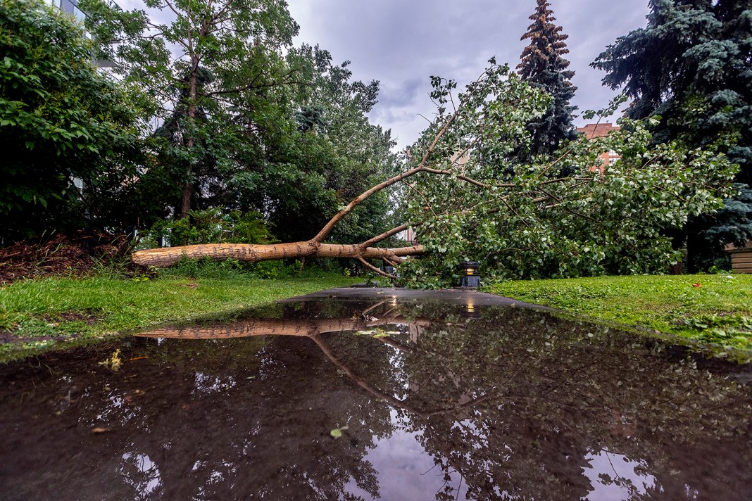 Update: Calgary storm upends trees, causes traffic delays across city ...