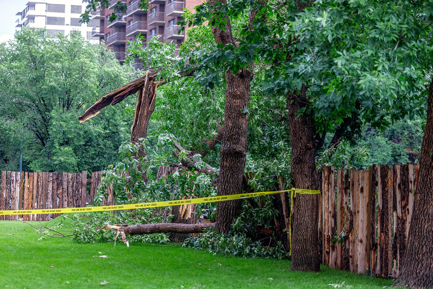 Update: Calgary storm upends trees, causes traffic delays across city ...