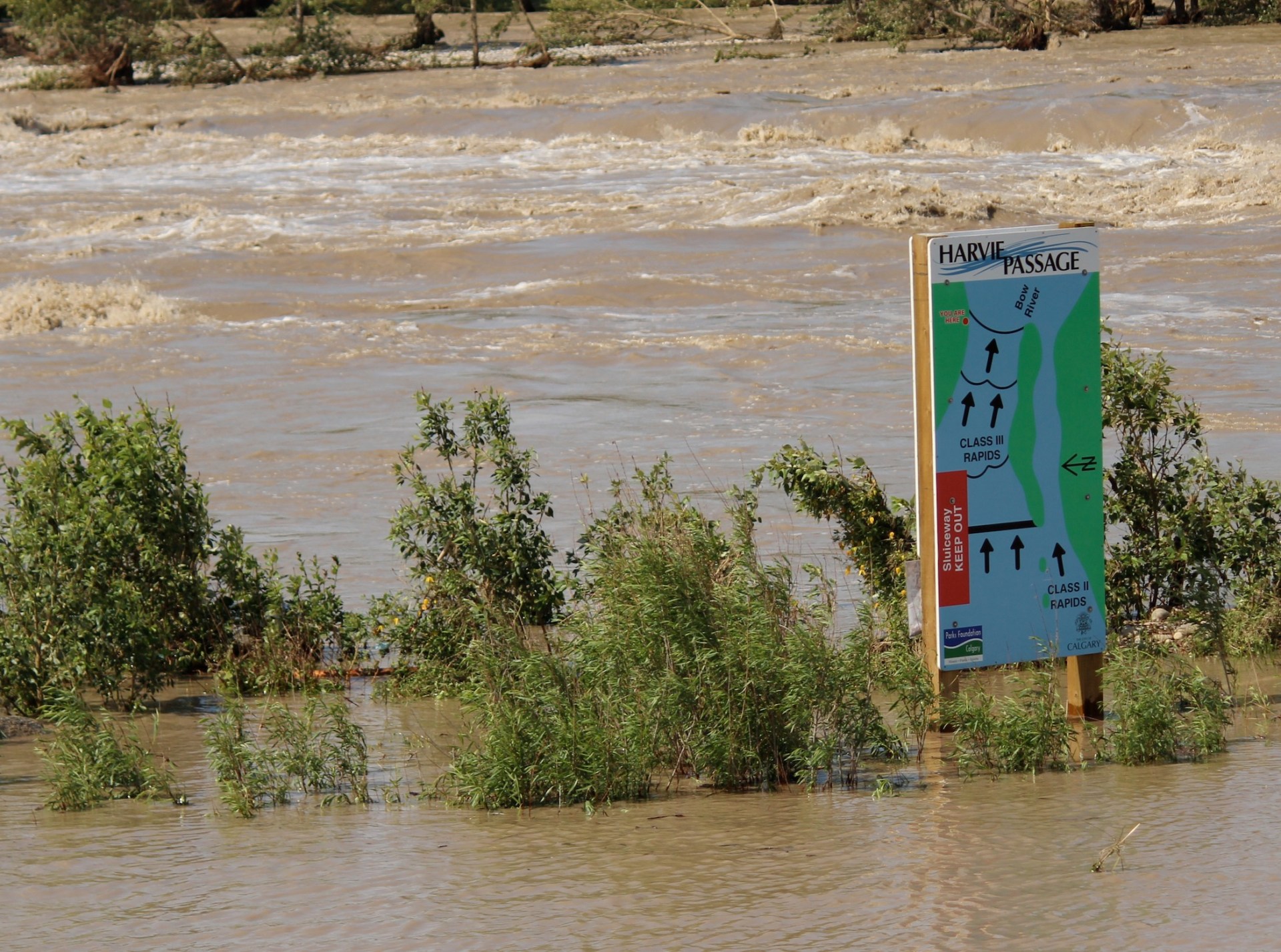 Calgary flood: The 10-year journey to improve flood resilience ...