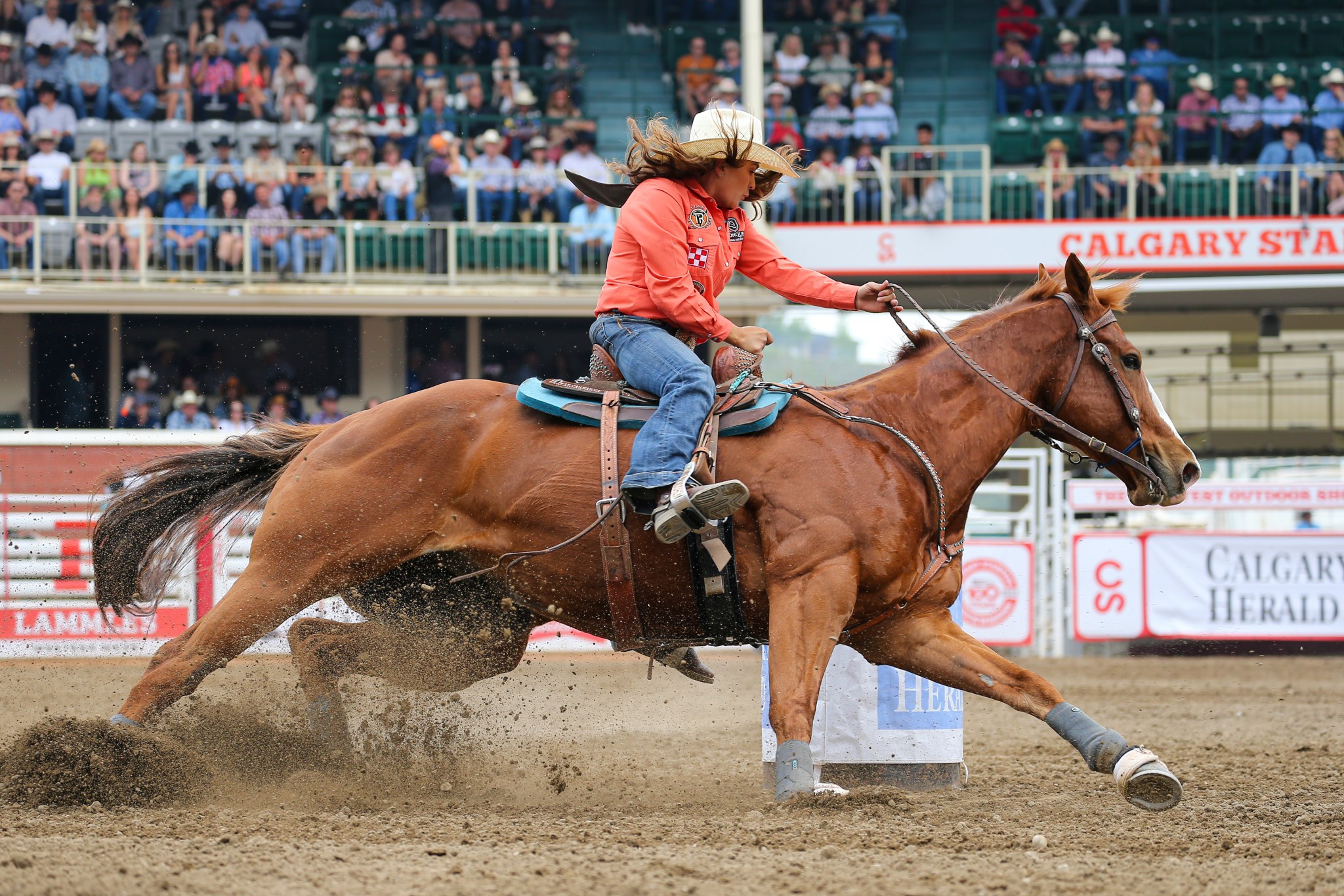 Calgary Stampede Day 7 wrap up: Riders, drivers battle for championship ...