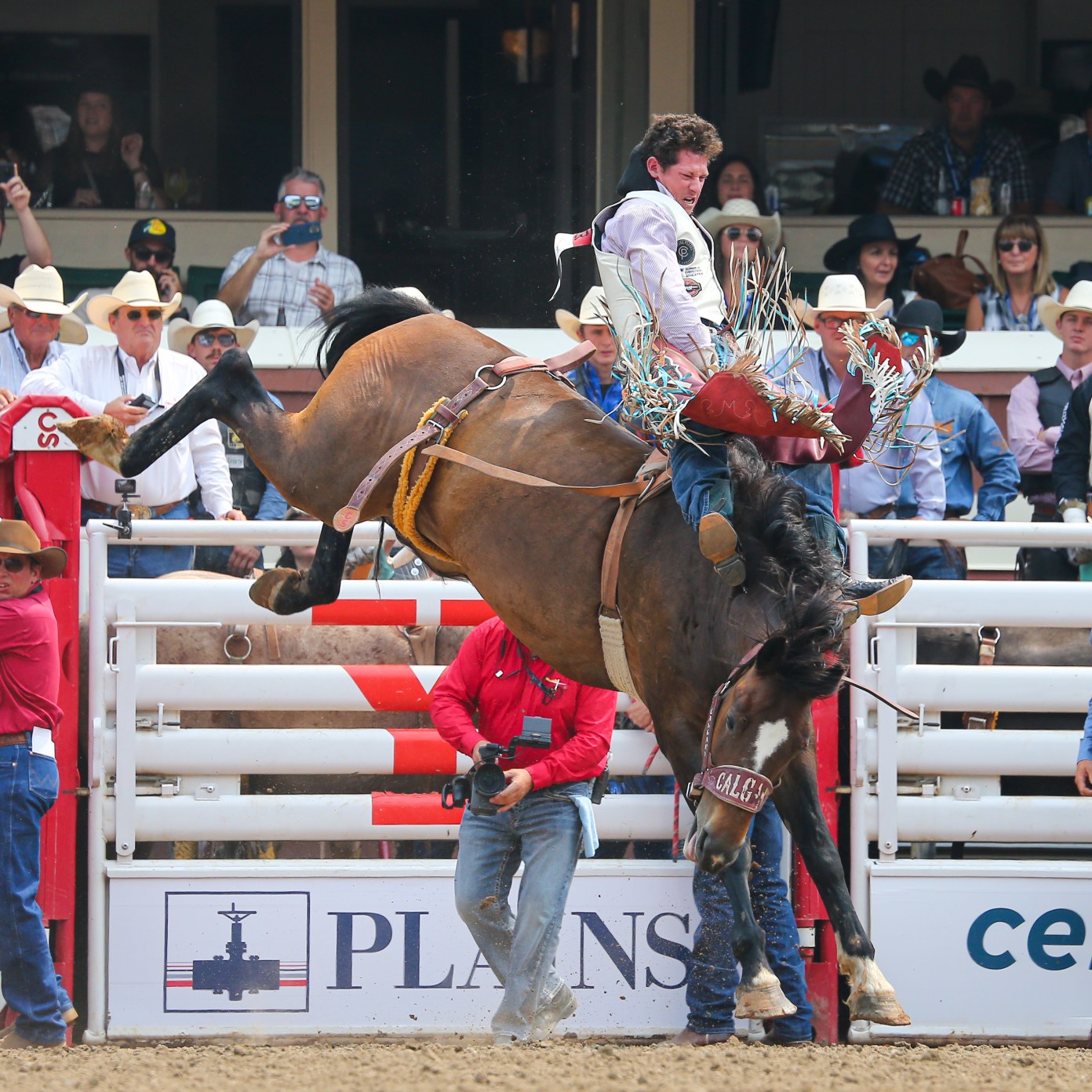 Calgary Stampede Day 9 wrap: Final Sunday - rodeo, chucks, Midway and ...