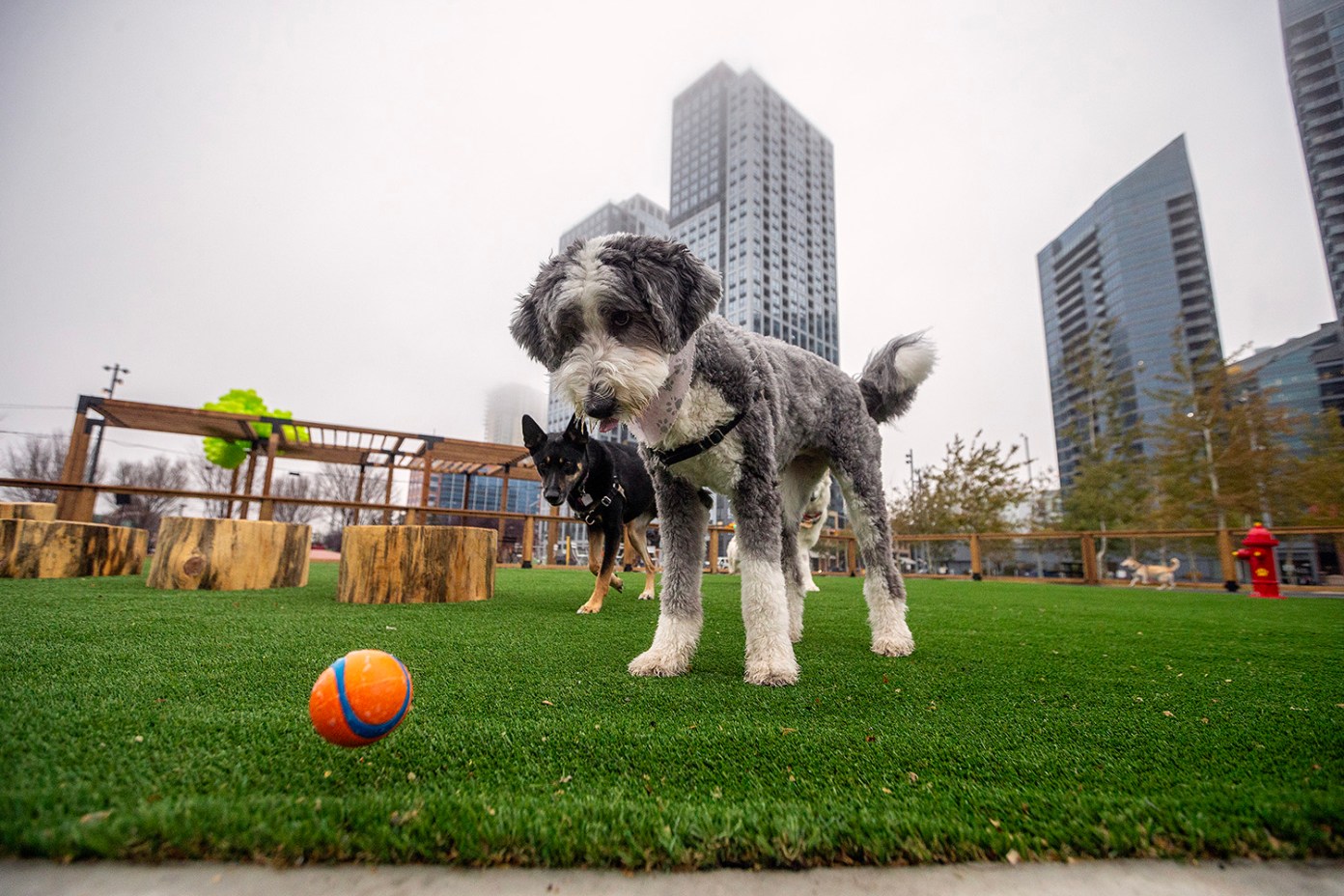 Pixel Park, Calgary's newest outdoor space, opens in the Beltline ...
