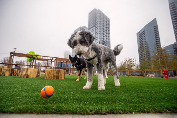 Pixel Park, Calgary's newest outdoor space, opens in the Beltline ...