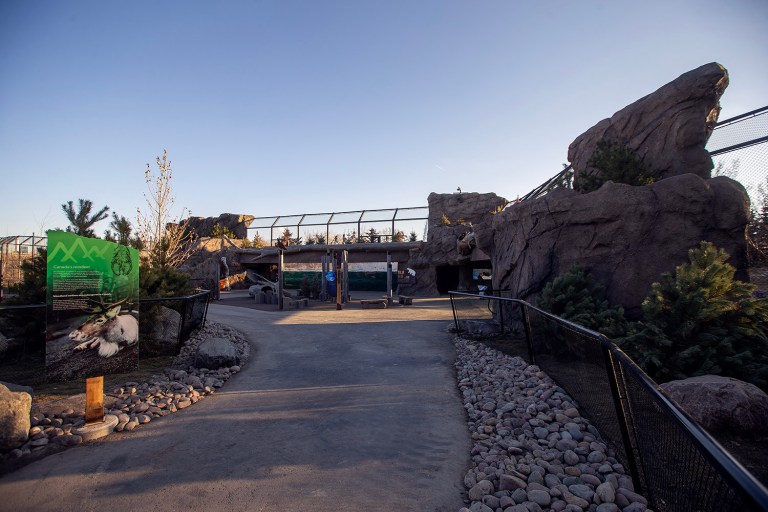 Photos: Polar bears return to Calgary Zoo in $42 million Wild Canada ...