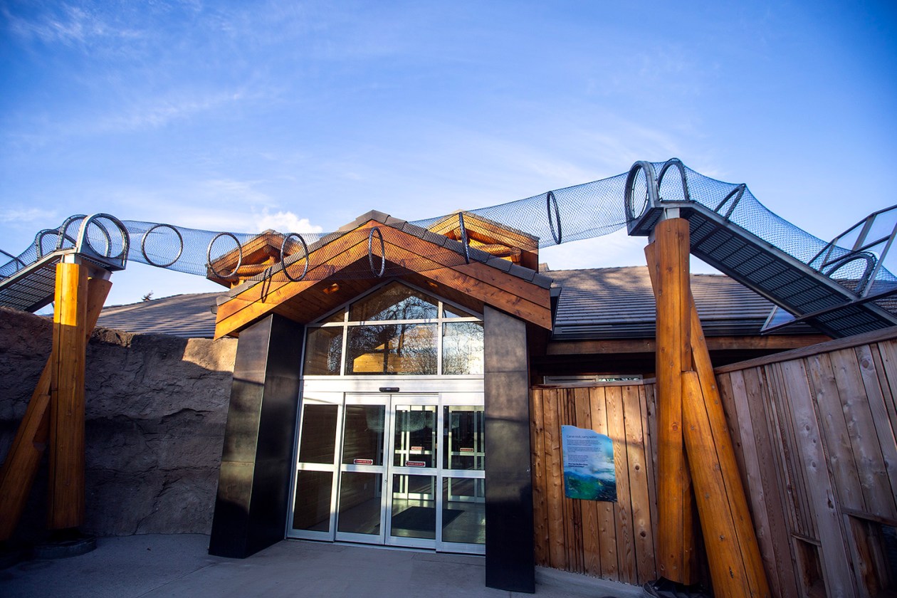 Photos: Polar bears return to Calgary Zoo in $42 million Wild Canada ...