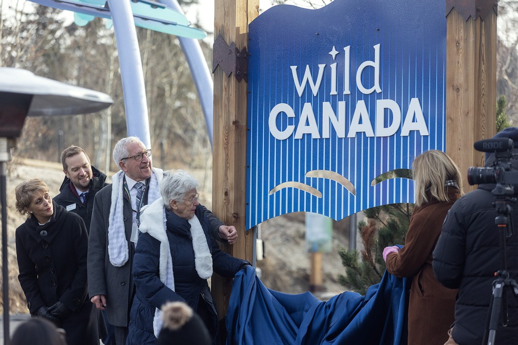 Photos: Polar bears return to Calgary Zoo in $42 million Wild Canada ...