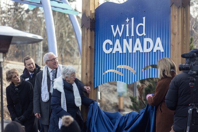 Photos: Polar bears return to Calgary Zoo in $42 million Wild Canada ...