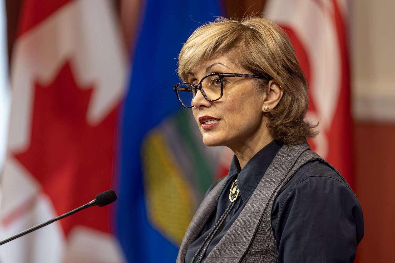 MEMBERS: Mayor and Me - Episode 20: Rezoning decision, Bills 18 to 21 ...