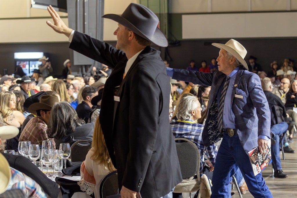 Stampede Canvas Auction sets new records during bidding war night ...