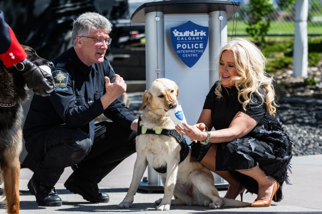 Calgary police graduates seven new canine units - LiveWire Calgary