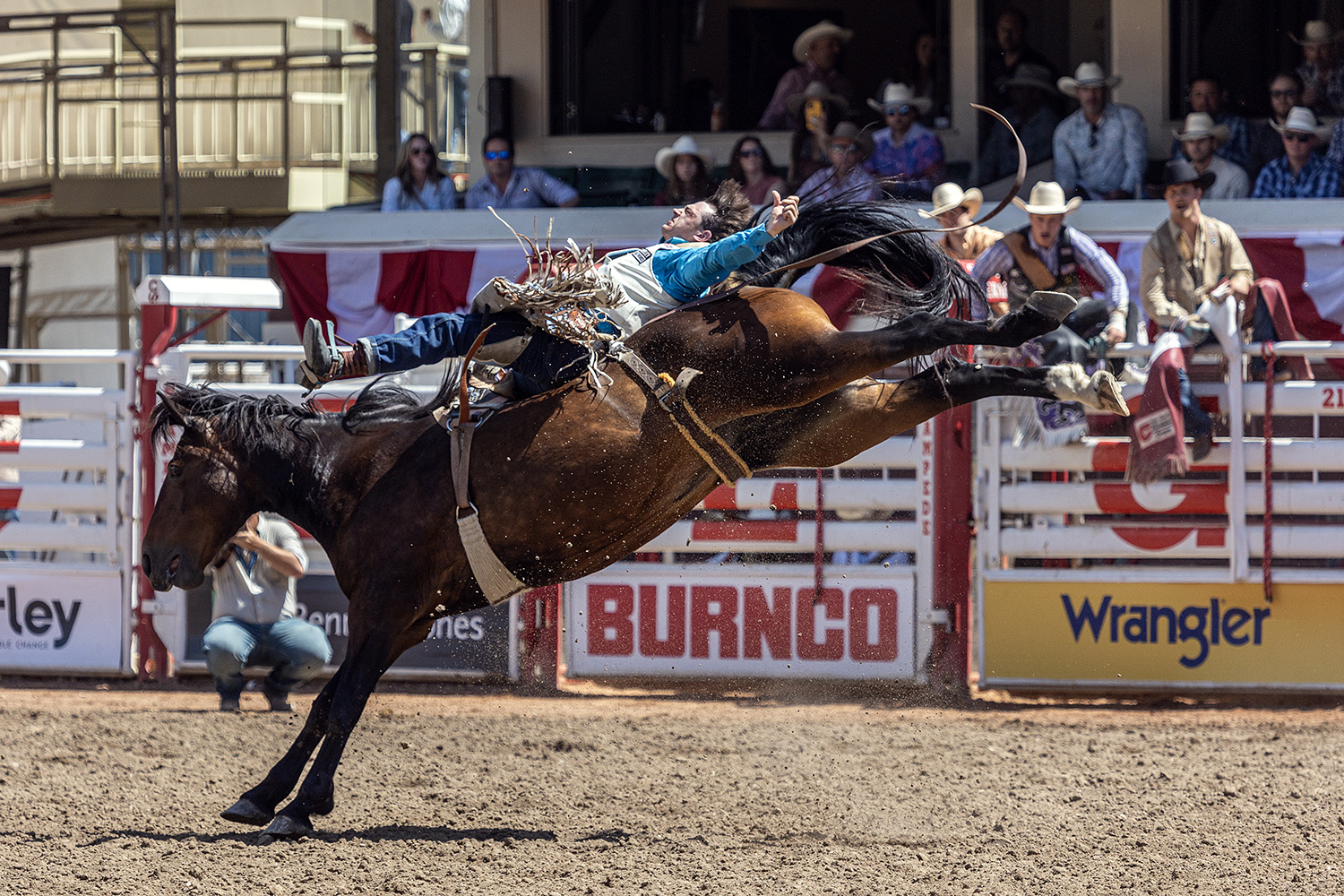 Calgary Stampede Rodeo | LiveWire Calgary
