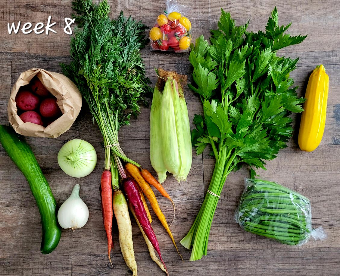 Community Supported Agriculture and how it supports Alberta Farmers ...