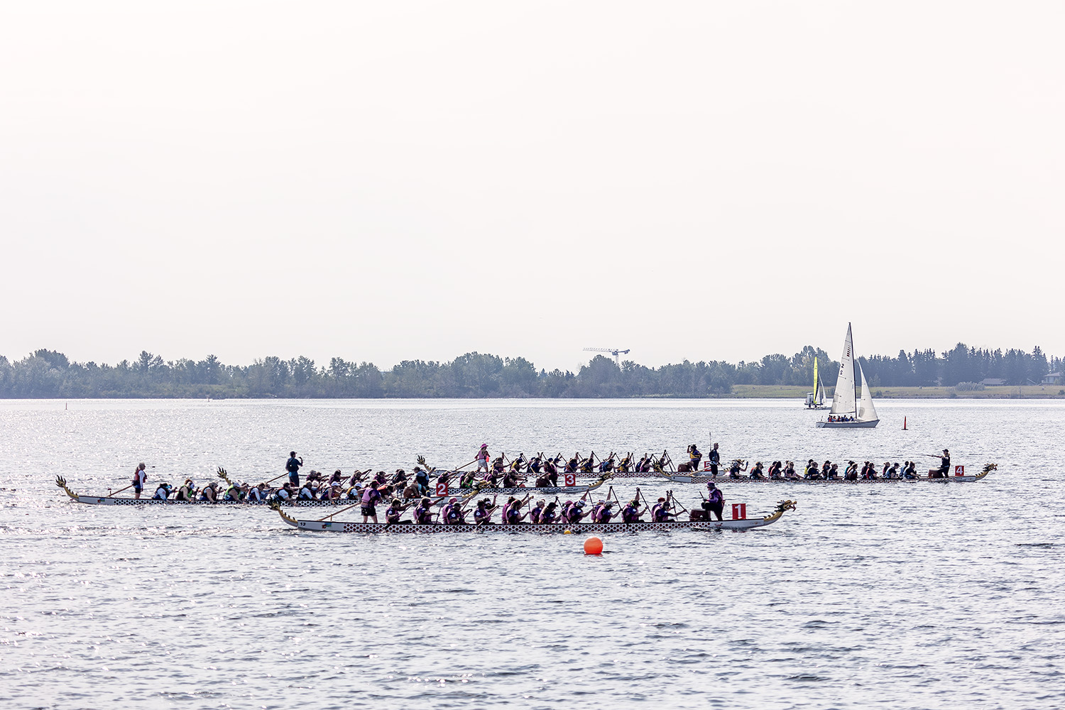 Calgary Dragon Boat Festival reaches new heights of competition ...