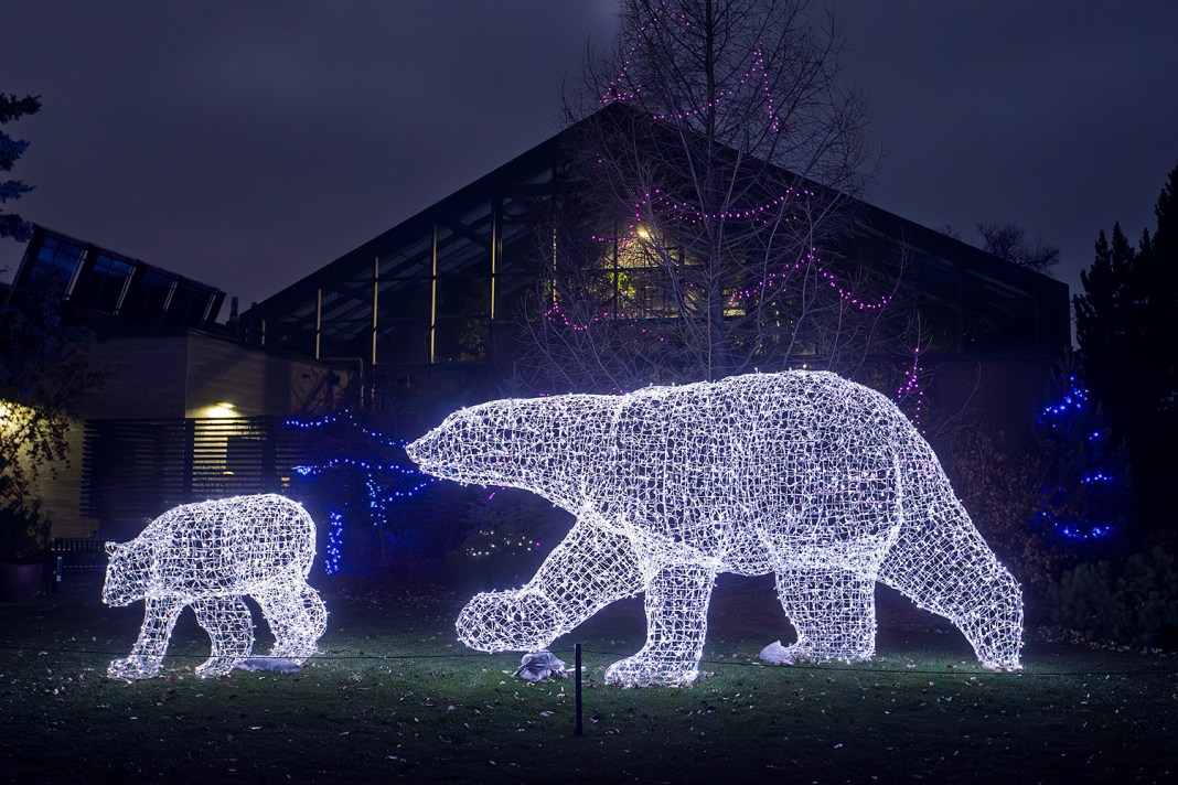 Zoolights returns with new designs, areas for 2024 - LiveWire Calgary