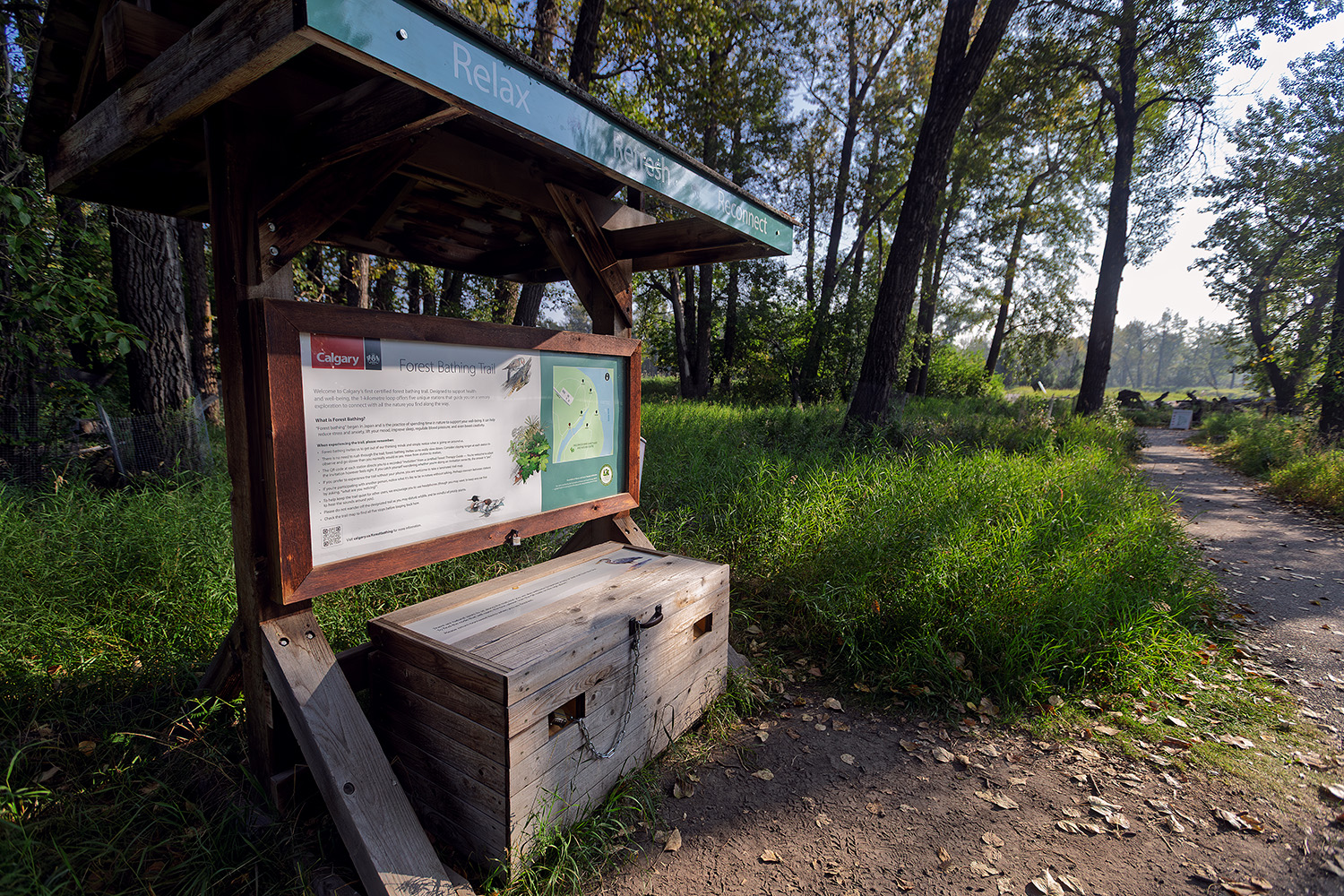 Forest bathing comes to Calgary with new Inglewood trail - LiveWire Calgary