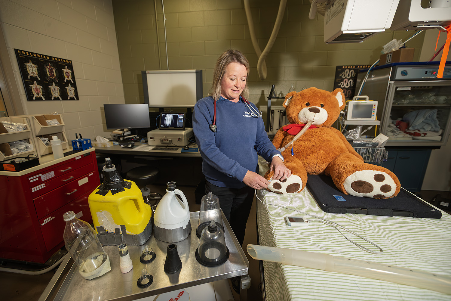 Wilder Institute/Calgary Zoo offers rare sneak peak behind the scenes ...