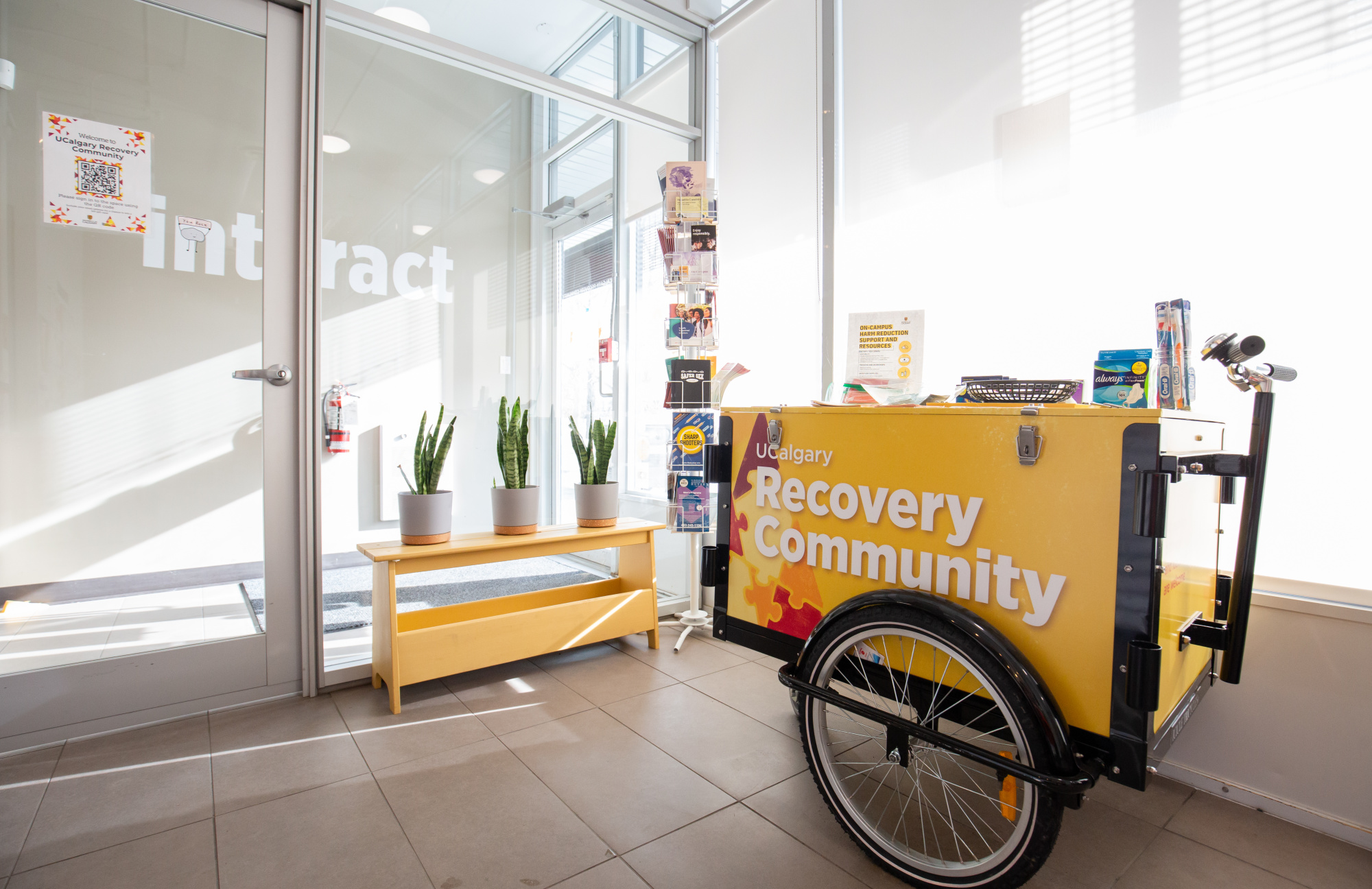 UCalgary leads recovery supportive initiatives across Alberta ...