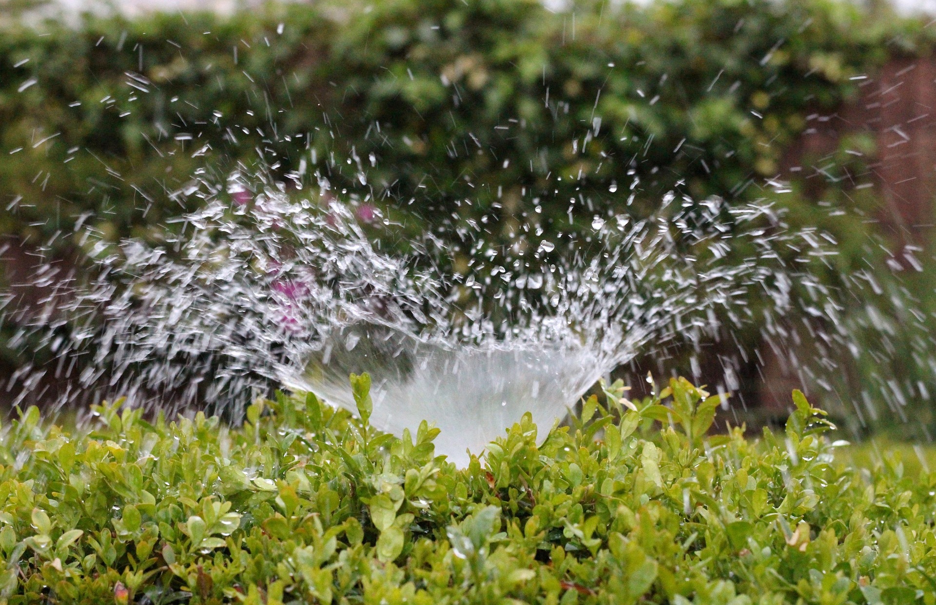 City says first year of new water schedule will be one of education ...